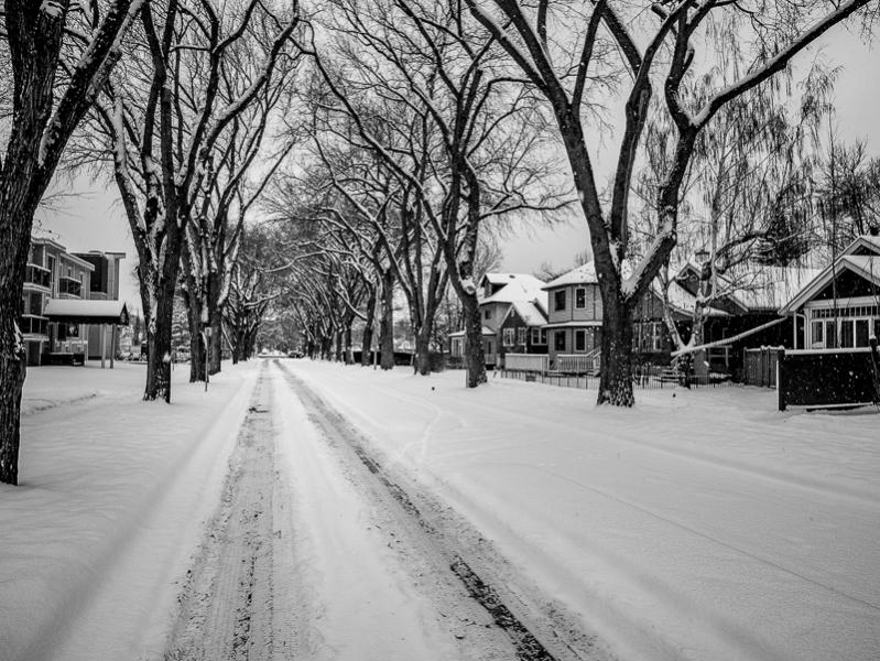 Edmonton Street View