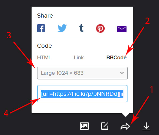 How to get the static Flickr URL